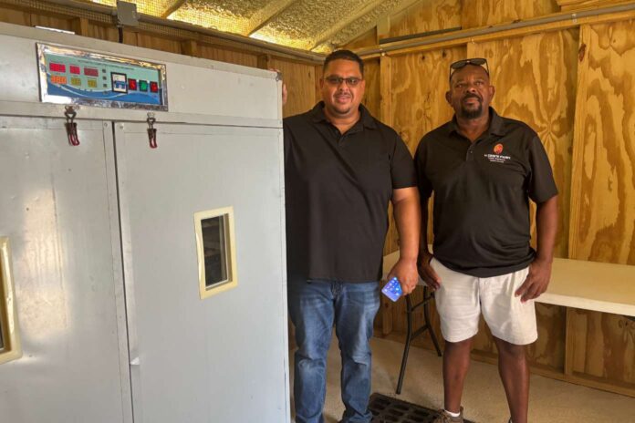 Cayman launches first chicken broiler hatchery - Cayman Compass