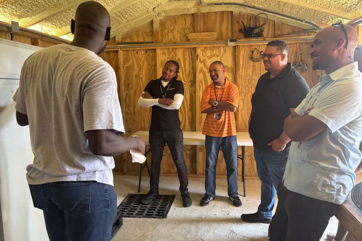 Cayman launches first chicken broiler hatchery - Cayman Compass