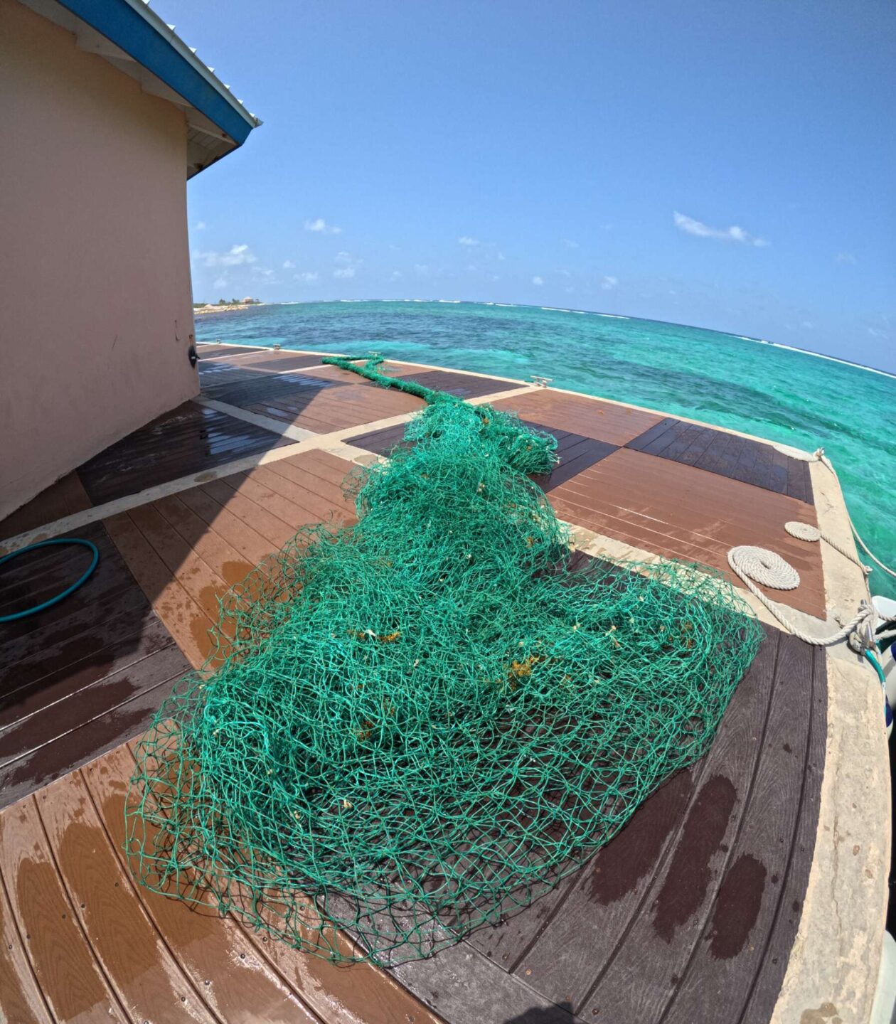 New warnings over 'ghost nets' after dive boat finds trapped sharks ...