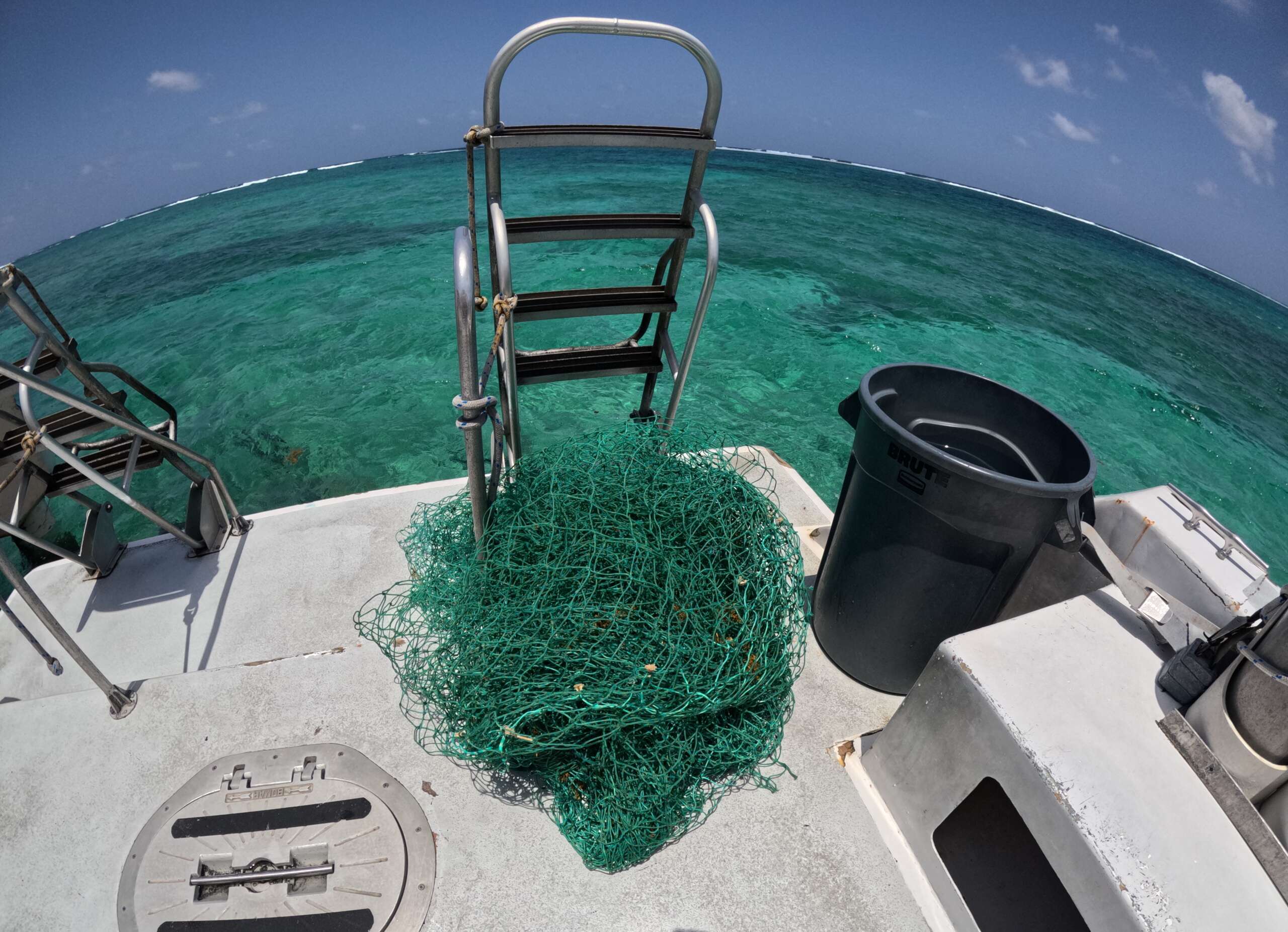 New warnings over 'ghost nets' after dive boat finds trapped sharks ...