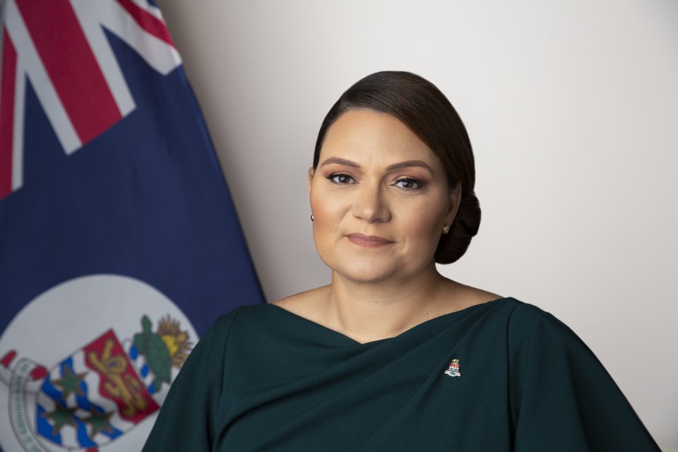 Ebanks-Wilks planning to take East-West Arterial issue to caucus ...