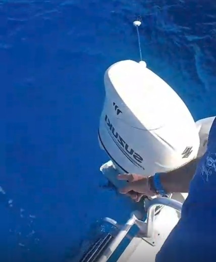 Watersports companies clash over cut submarine communication cable ...