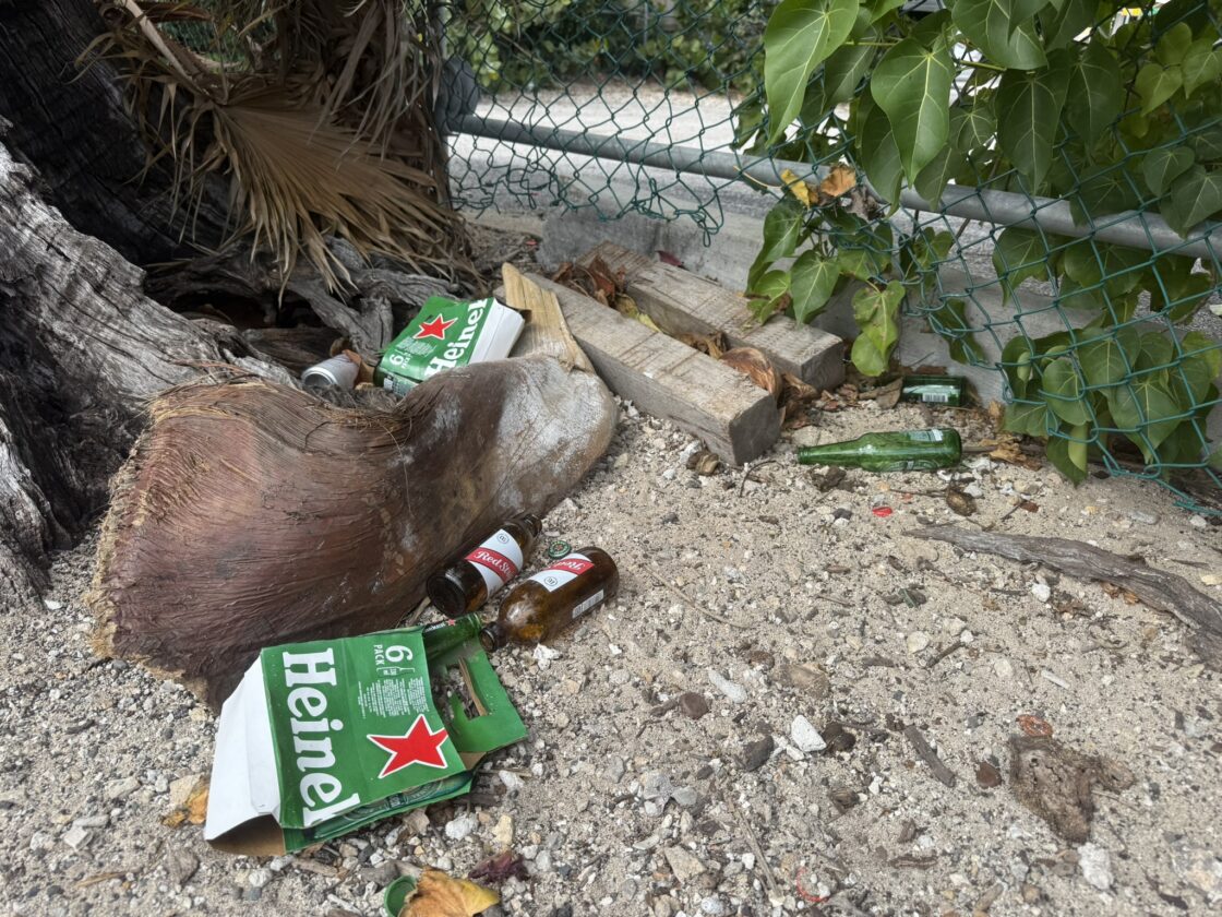 Litterbugs could face a $5K fine or a year in jail under tough new ...