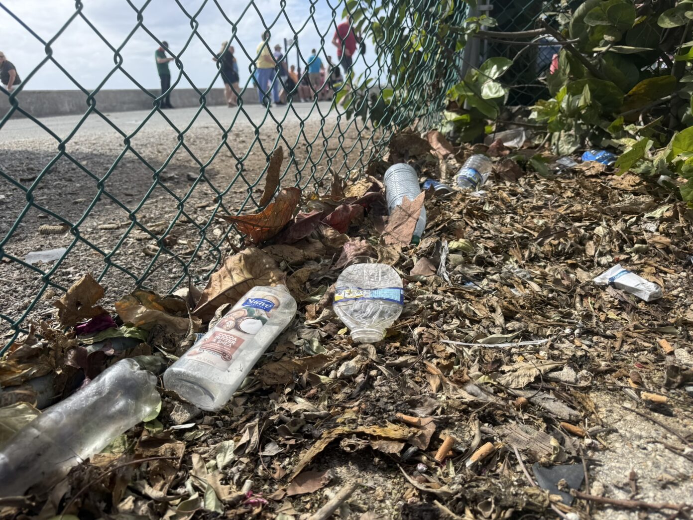 Litterbugs could face a $5K fine or a year in jail under tough new ...
