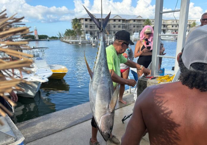 More than 4,300 pounds weighed at BK Big Fish tournament - Cayman Compass