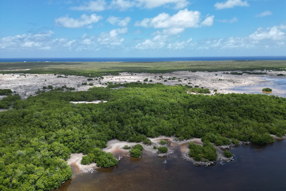 Cayman protected areas expanded under 2026 order - Cayman Compass