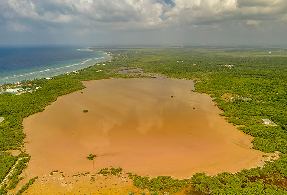Malportas Pond: A place of birds, birdwatching and mystery - Cayman Compass